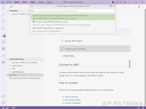 云计算 如何创建集成 lsp 的 web 代码编辑器（支持多语言） 个人文章 segmentfault 思否