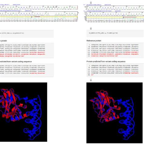 Novel In Frame Deletion C431433delagc Detected In Exon 5 A Mutation