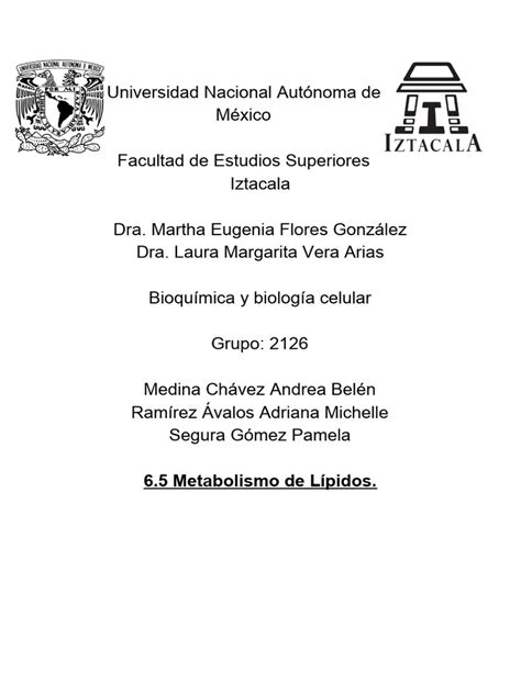 Metabolismo De Lípidos Pdf Digestión Lípido