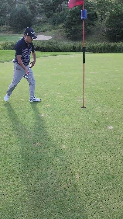 구력35년😱ㅋ golf 골프 골프존 스크린골프 nx 골프존cc 필드 필드골프 필드레슨 웨지 퍼터 아이언비거리 골프레슨 숏게임