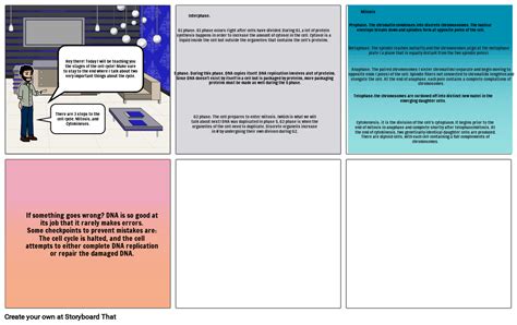 Cell Cycle Storyboard Por 4765ecc4