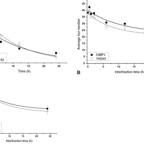 Dna Damage Repair Kinetics Following Exposure To A Uniform Radiation
