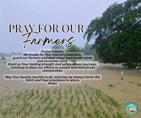 I Federation Of Agriculture Cooperatives In Camarines Sur Facebook