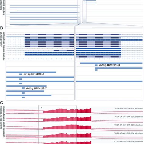 Overview Analysis Of Transcriptomic Rna‐seq A The Length Of All