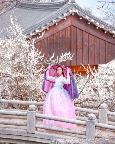 برنامه هایی که تستچی