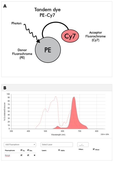Faqs Tandem Dye Conjugated Antibodies