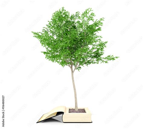 Tree Growing From The Old Book Reading Develops Imagination Knowledge Growth From Education
