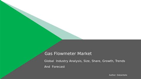 Gas Flowmeter Market Report Global Forecast From 2025 To 2033