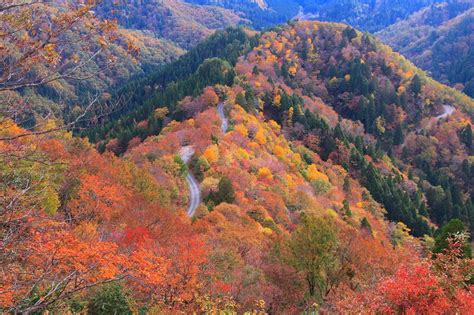 滋賀県の新紅葉名所 鯖街道の秘境おにゅう峠が絶景 滋賀県 LINEトラベルjp 旅行ガイド