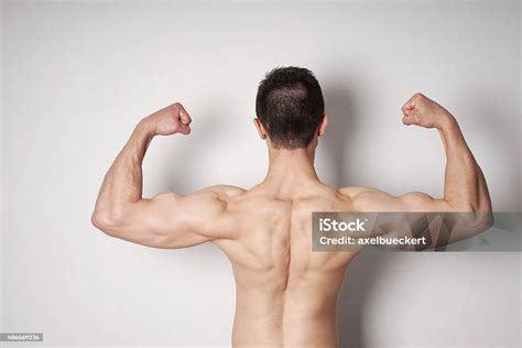 남자 성과향상을 촉진하는 유연한 팔근육 및 등근육 근육 2015년에 대한 스톡 사진 및 기타 이미지 2015년 근육질 체격 남성성 Istock