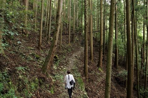 高さは徳島一 三本松 メガネのカワイ 店長ブログ