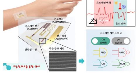 [과기원now] 포스텍 금 나노와이어 기반 웨어러블 센서 개발