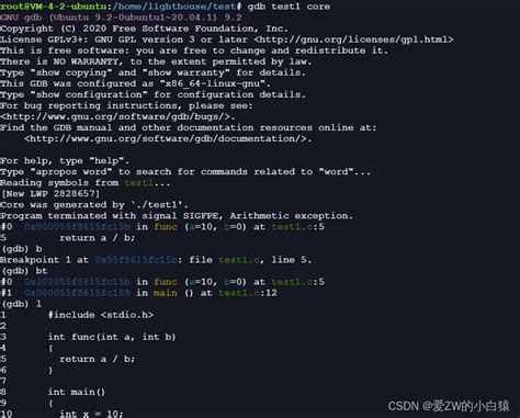 段错误（segfault）问题排查 exception segfault csdn博客