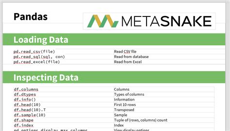 Metasnake Effective Pandas