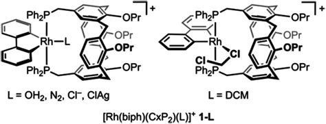 Template Synthesis Of An Intermediate In Silver Salt Metathesis Using A Calix[4]arene Based