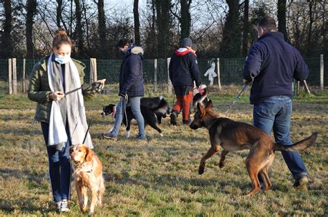 L éducation Amicale Canine Anne de Bretagne