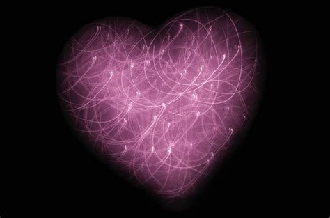 Unlock Your Potential Harness The Power Of Your Bio Rhythm Lifereader Com Au