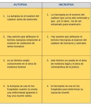Necropsia O Autopsia Forense Diferencias Y Semejanzas Serwer2311392