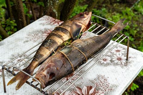 Poisson Roche Cuisson Le Photo Gratuite Sur Pixabay Pixabay