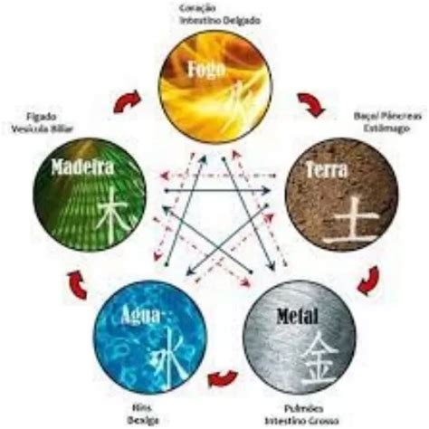 Curso De Auriculoterapia Máximo Bem Estar
