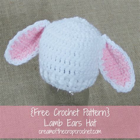 Preemie Newborn Lamb Hat Crochet Pattern Cream Of The Crop Crochet