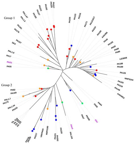 Antibiotics Special Issue Antimicrobial Resistance And Virulence