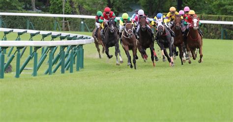 2024412 C2三四五（大井9r）【推奨度s】※見解付※再販売｜競馬予想家あやね