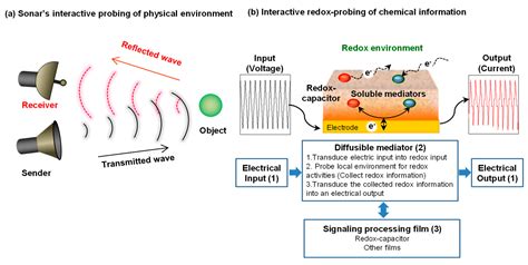 Biomimetics Free Full Text Catechol Based Hydrogel For Chemical Information Processing