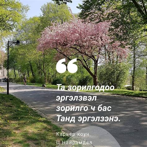 ЭКО Хэрэглээ Эрүүл бүтээгдэхүүн