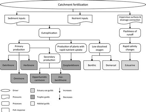 Conceptual Model Depicting Pathways Through Which Catchment