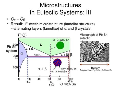 Eutectic Phase Diagram Microstructure Binary Eutectic Phase