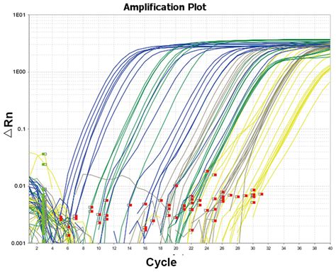 Pcr Amplification Graph