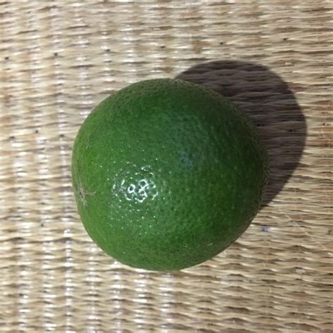 Lemon Object Detection Dataset By Nhchung07