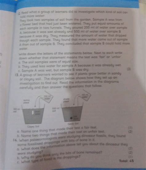 Read What A Group Of Learners Did To Studyx