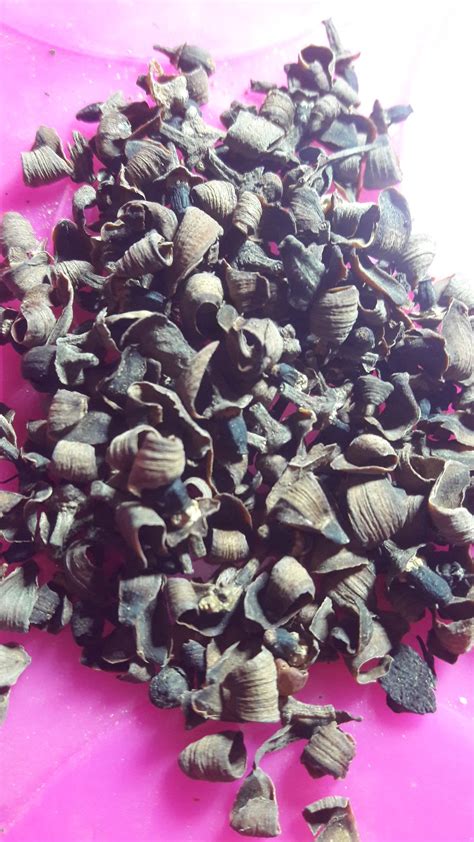 16292230867941587755025