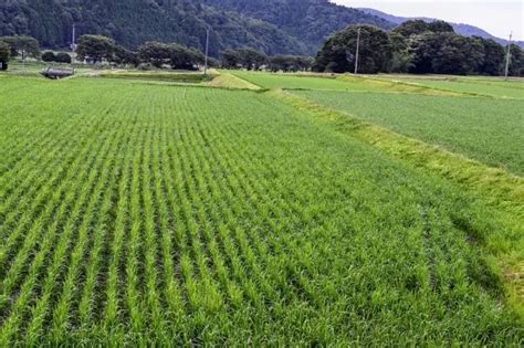 遺産分割協議書の手続きについて 司法書士が解説 コラム 千葉県の司法書士ならひまわり司法書士法人