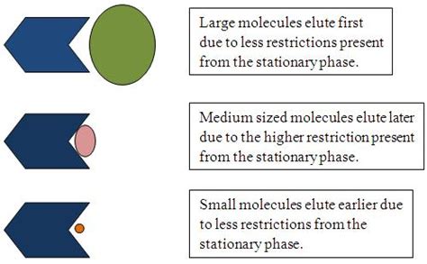 Size Exclusion Chromatography