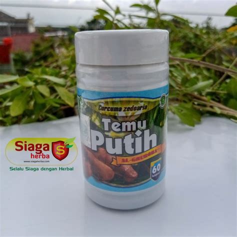 Jual Herbal Ekstrak Temu Putih 60 Kapsul Al Ghuroba Shopee Indonesia