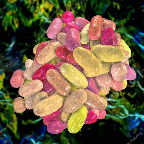 Porphyromonas gingivalis bacteria ilustración 3D Las bacterias que