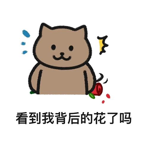 一猫人 表情包