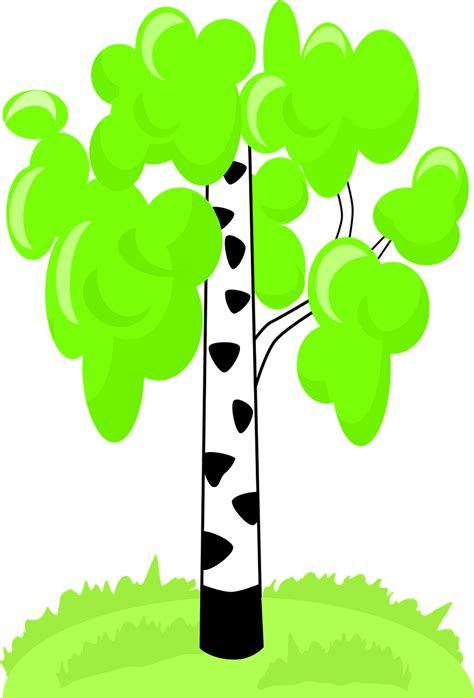 Download Tree Birch Nature Royalty Free Vector Graphic Pixabay