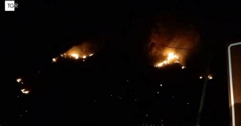 Custonaci vasto incendio devasta la vegetazione in località Frassino