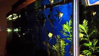 Arduino Controlled Aquarium The DIY Aquarium