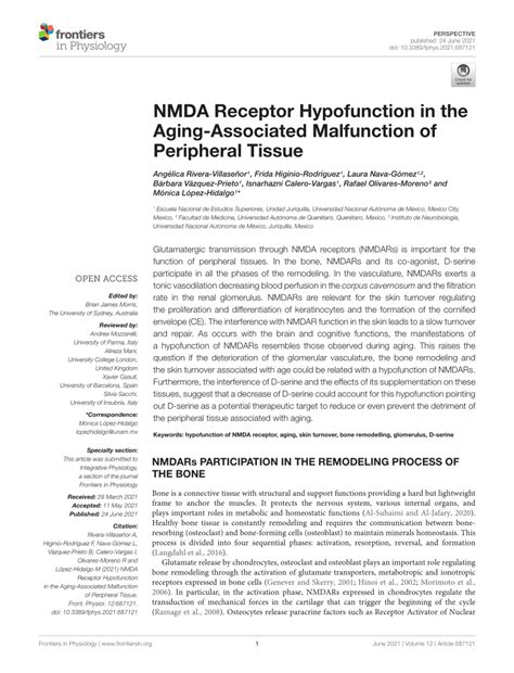 Pdf Nmda Receptor Hypofunction In The Aging Associated Malfunction Of