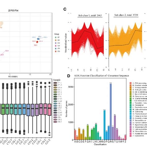 Transcriptome Sequencing And Functional Analysis Of Degs In Ct And Cj Download Scientific