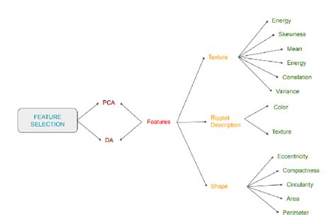 Figure 10 From Meticulous Review Cutting Edge Cervix Cancer Stratification Using Image