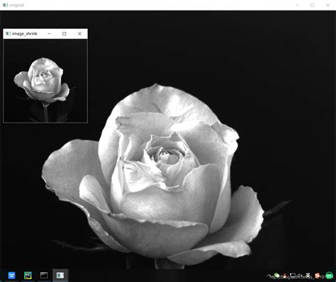 Opencv Python：创建图像容器 Dtypenpuint8 Csdn博客