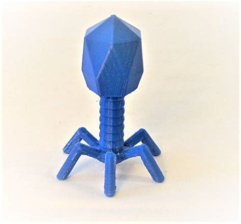 How To Make A Virus Model