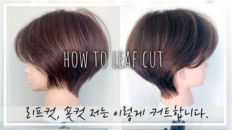 숏컷리프컷 이해하기 쉽게 블럭의 조화로 연출하는 리프컷 그리고 숏커트 방법 스탠다드 포인트 Youtube