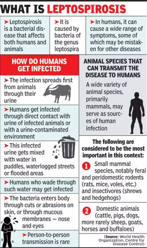 Odisha Facing Two Disease Outbreaks Scrub Typhus And Leptospirosis Upsc